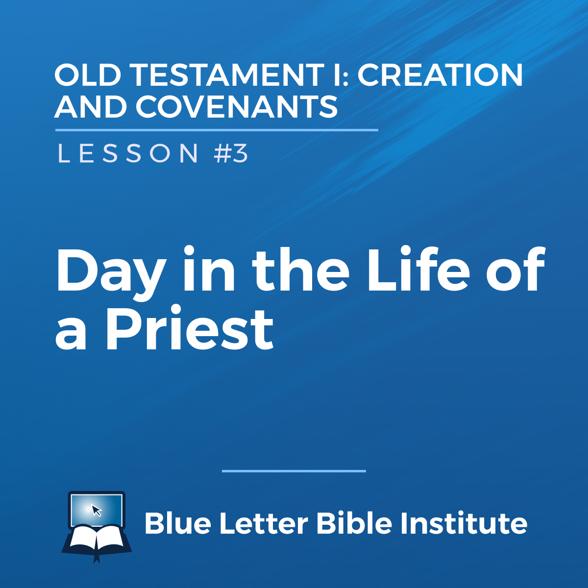 Unit #4 Lesson 3: Day in the Life of a Priest | Old Testament I ...